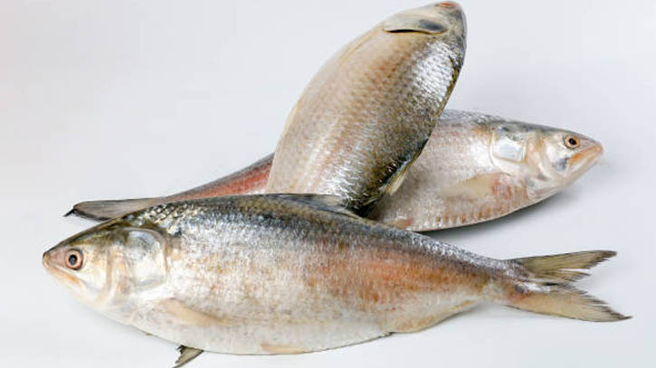 ইলিশ ধরা বন্ধ, জেলেরা সাগর থেকে ফিরেছেন